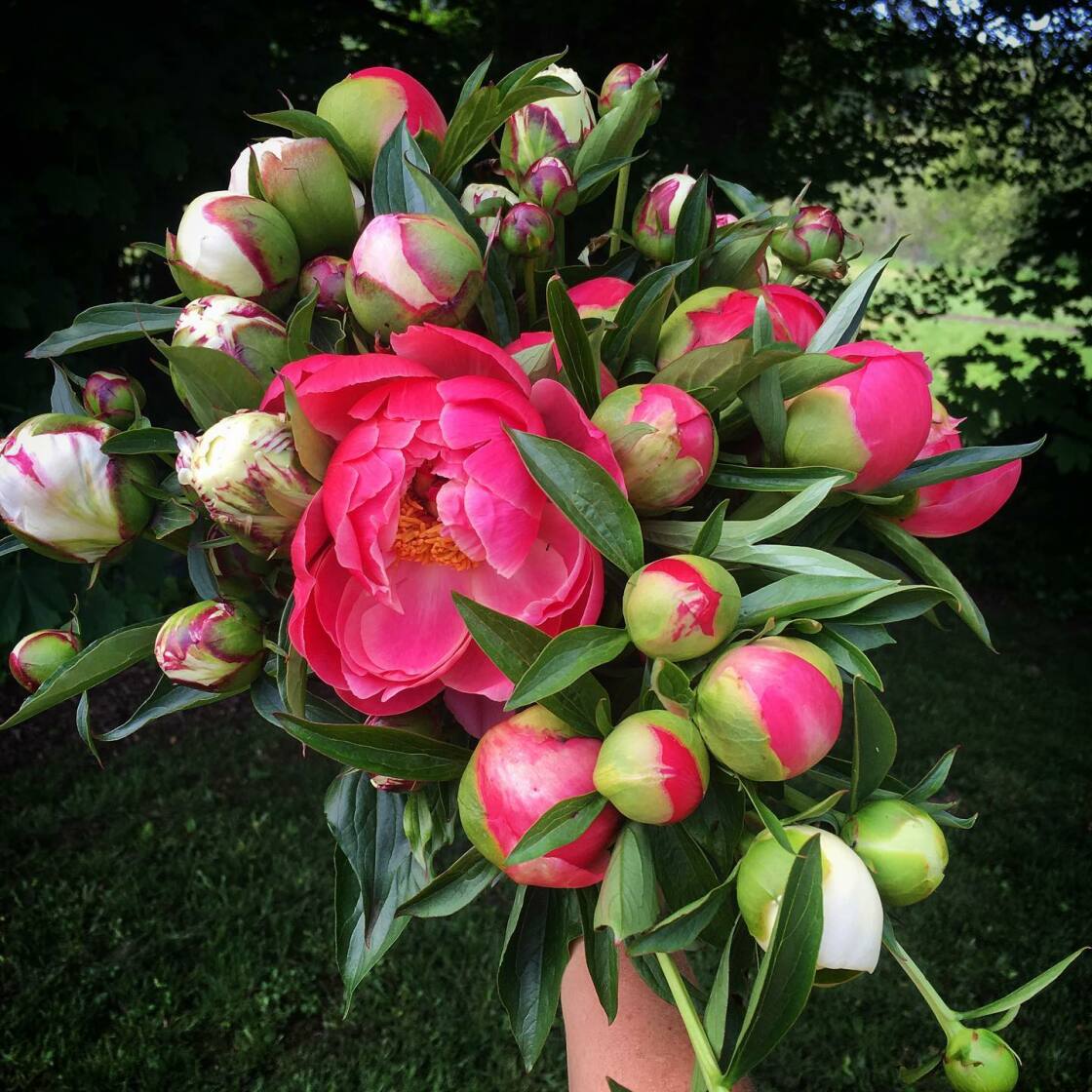 Home | Rustic River Farms